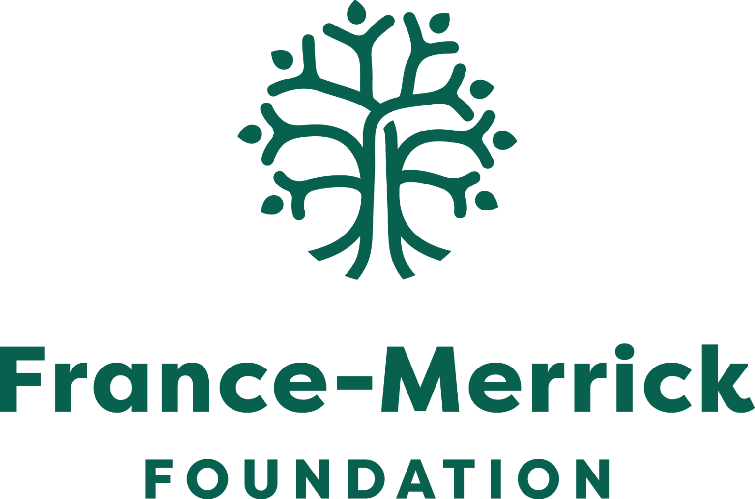 Homepage - France-Merrick Foundation